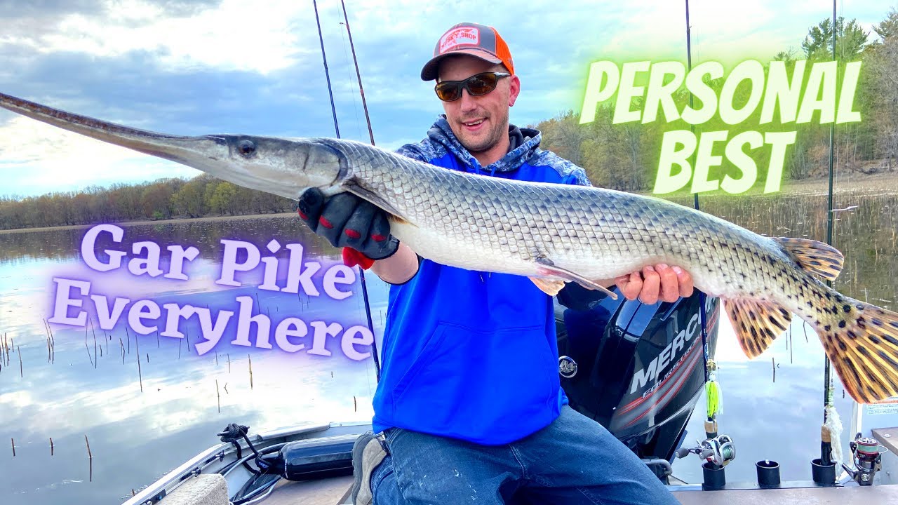 Muskys Canada Pike Tournament ( Personal Best Garpike Sight fished ...