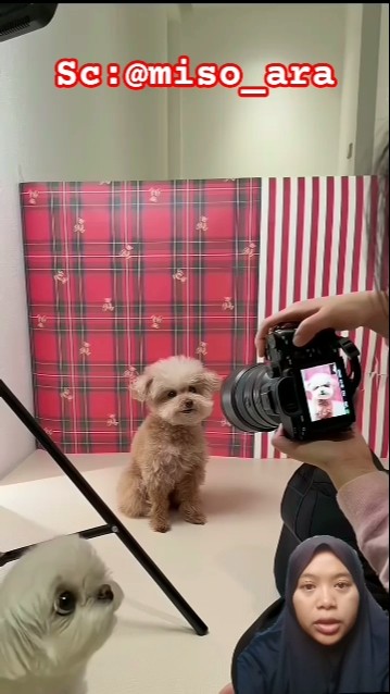 fotografer profesional miso_ara - YouTube