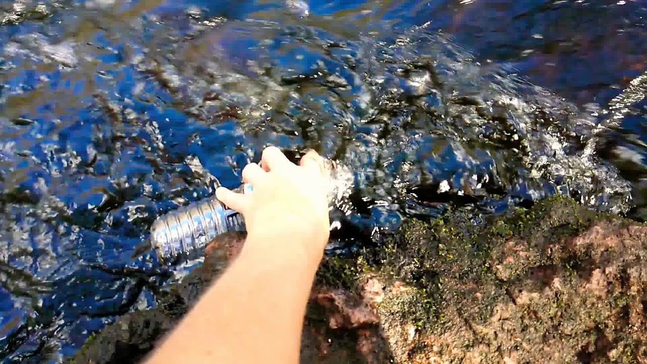 Collecting Drinking Water From The Hillsborough River.... - YouTube