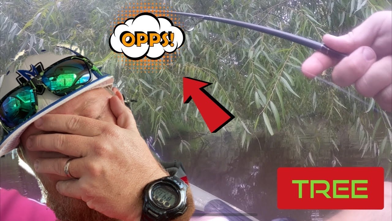 Catching trees and catching fish! - YouTube