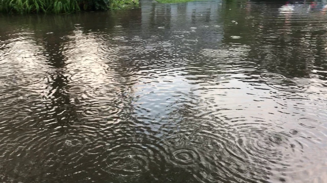 Water flowing down Washington Ave after downpour - YouTube