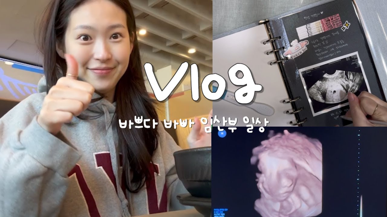 Vlog 5 하루종일 먹을생각뿐🫠ㅣ도라버린 먹덧일상🤯 L 초음파앨범꾸미기👶🏻ㅣ혼인신고ㅣ옷장정리ㅣ2차 정밀초음파ㅣ육아용품