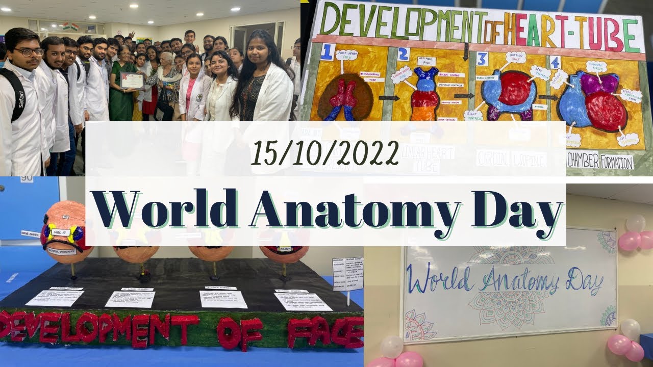 World Anatomy Day Celebration at NIIMS Noida #medico #anatomy # ...