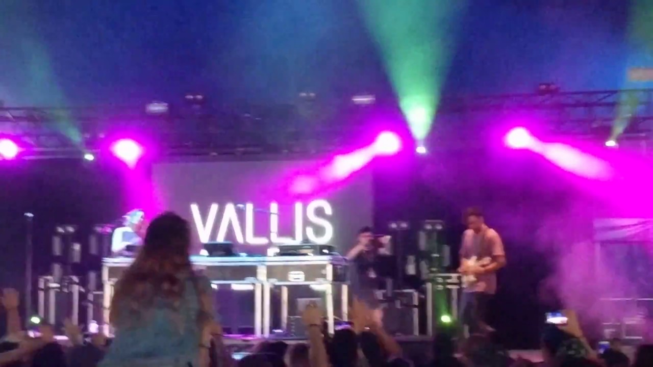 Vallis Alps - Young (Live at Falls Festival Byron, 2016/17) - YouTube