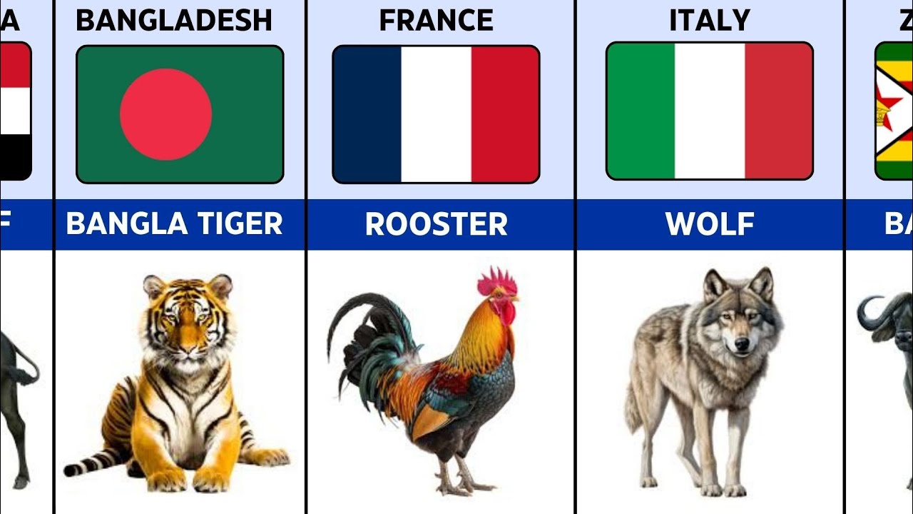 100+ Countries By Their National Animals. - YouTube