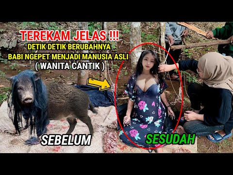 🔴 VIRAL !! WAJAH BABI NGEPET PEREMPUAN SETELAH MENJADI MANUSIA ASLI ( WANITA CANTIK )