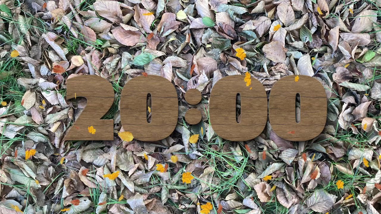 20 Minute Autumn Timer | Cozy Fall Leaves Countdown ⏱️ - YouTube