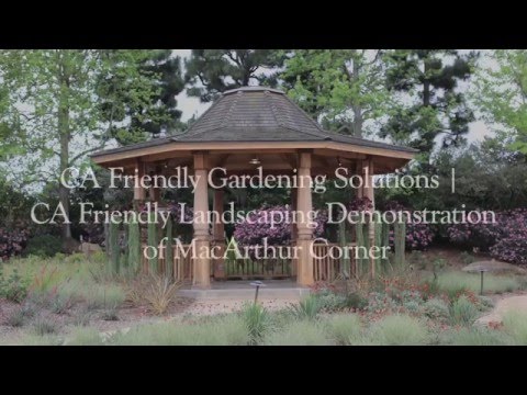 CA Friendly® Landscape Demo of MacArthur Corner with Tracy Wankner ...