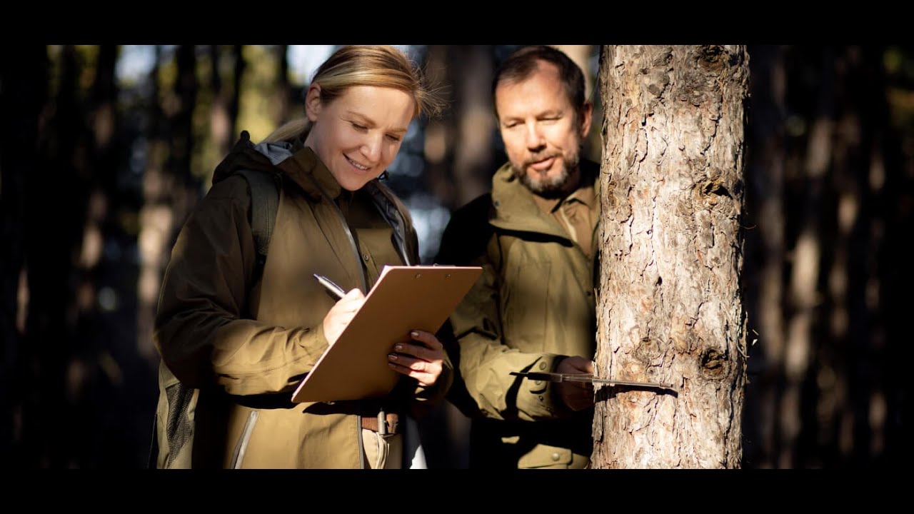 SERFOSA, Servicios Forestales de Sayago S.L. - YouTube