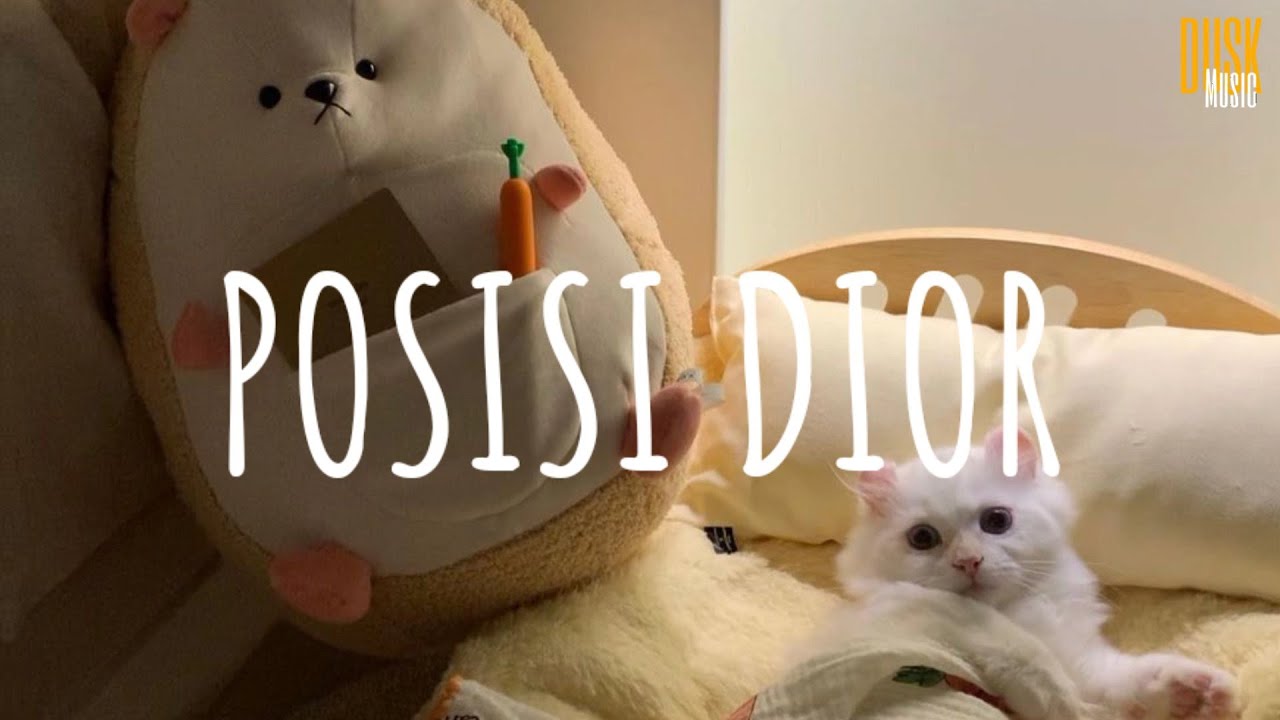 Posisi Dior (dior положение) - DJ Tebang // ( Vietsub + Lyric) Tik Tok ...