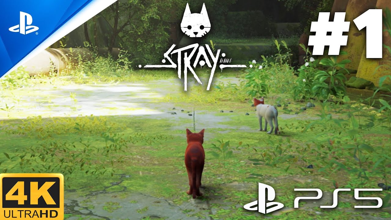 STRAY PS5 Gameplay Walkthrough Part 1 - INTRO (4k 60fps) - YouTube