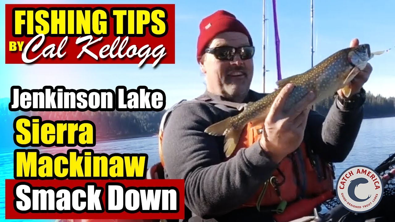 GIANT Lake Trout Caught on Jenkinson Reservoir! Crazy Fishing Tips ...