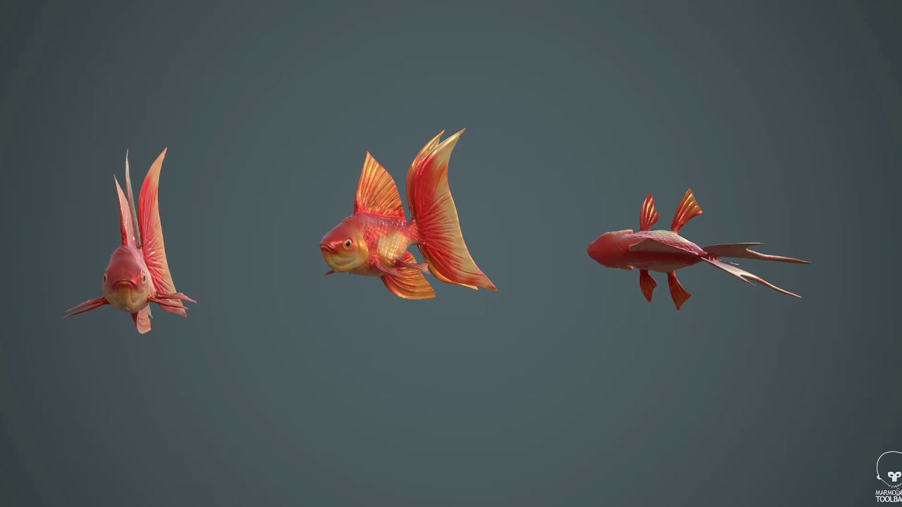 C4d Fish swim - YouTube