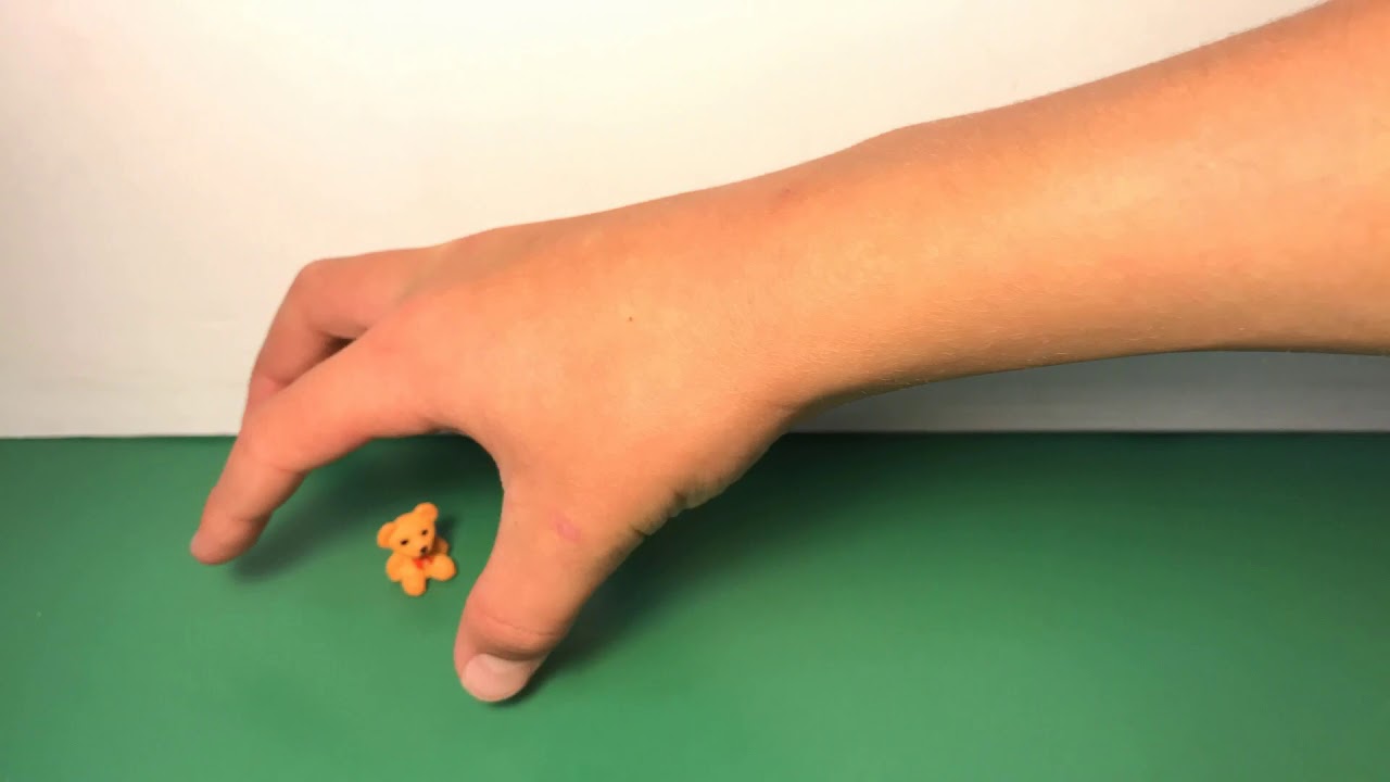 Try to Catch the Teddy Bear (Short Stop Motion) - YouTube