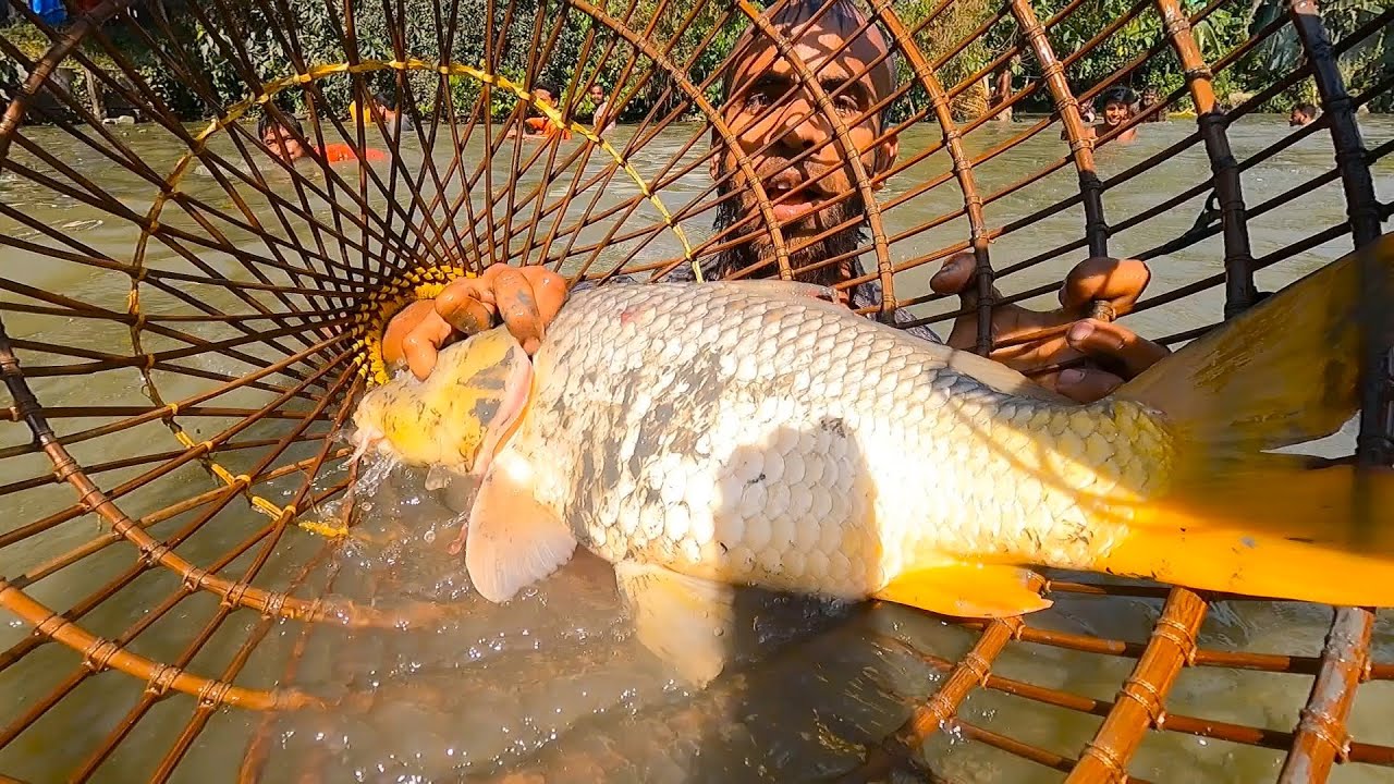 Most Popular Fishing Video | Catching Big Carp Fish | Awesome ...