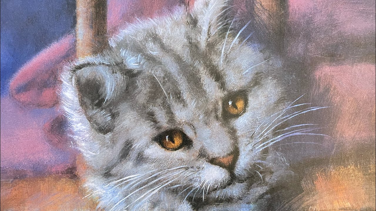 Charlie Anderson Read Aloud - YouTube