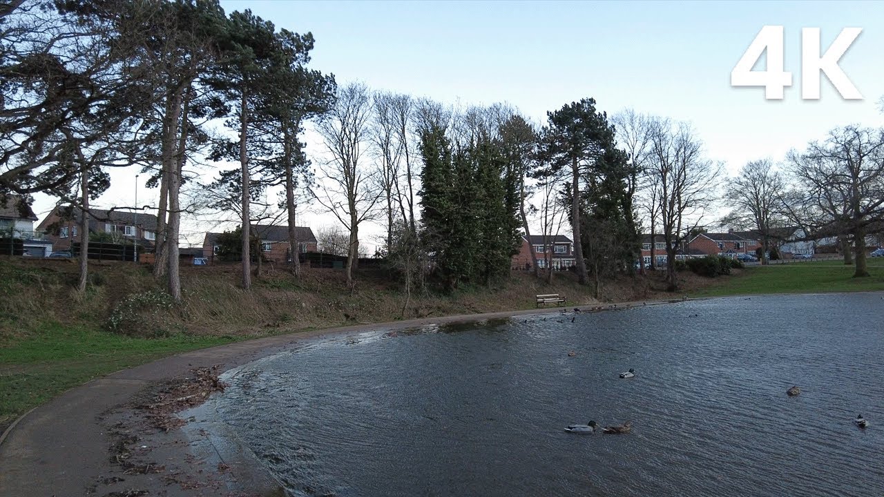 Serenity by the lakeside with the ducks (Nature Visualizer) - YouTube