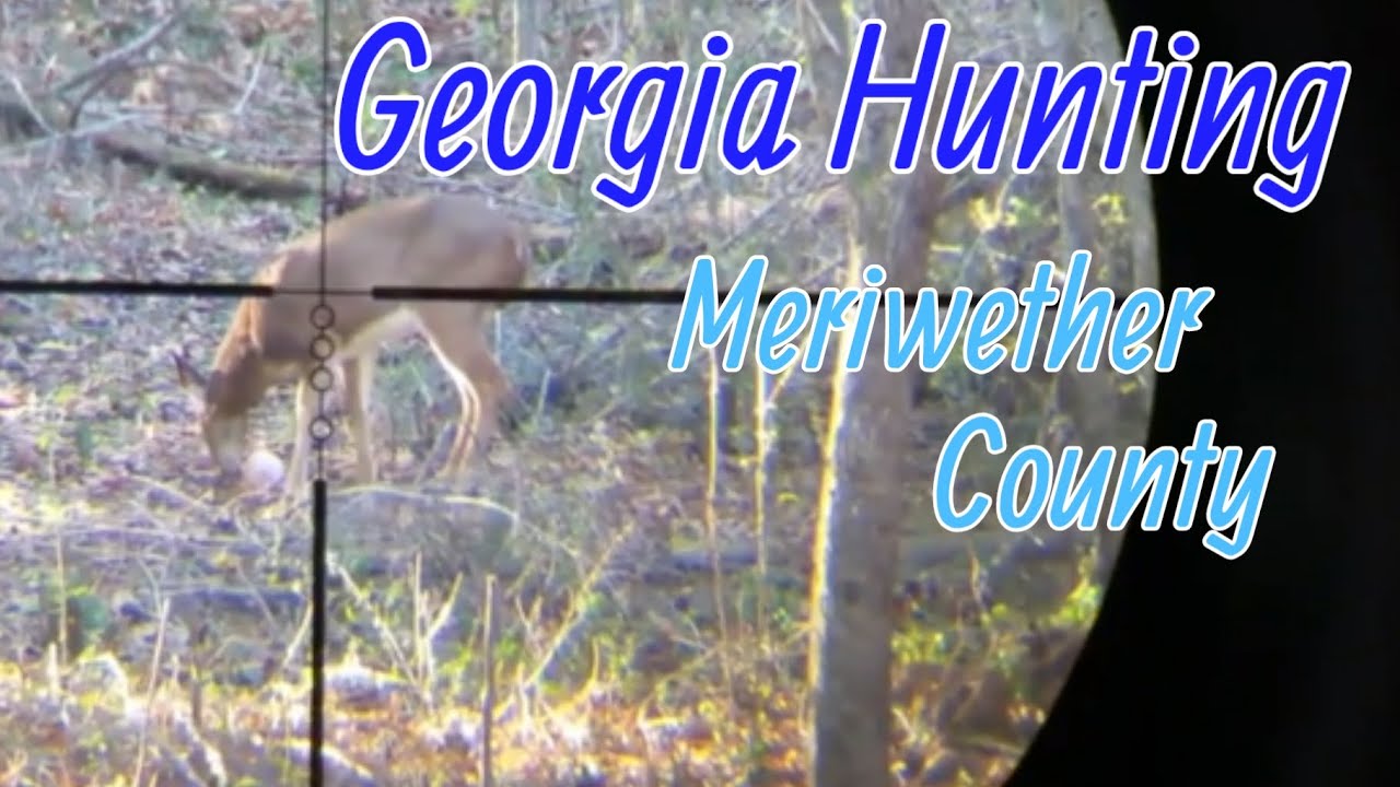 Georgia Hunting - YouTube