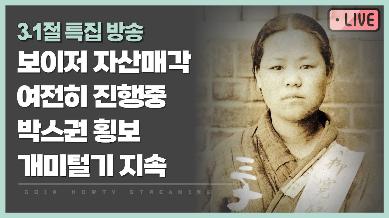 31절 특집보이저 자산매각 여전히 진행중 박스권 횡보 개미털기 지속존버는 언제나 승리한다 희망회로 가즈아