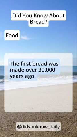 Did You Know? Learn Something New Today! 🌟 #daily #topfacts #facts #learn #didyouknow - YouTube