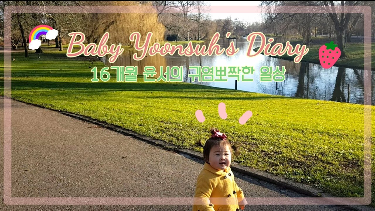 LOG 16 YouTube log-16-youtube