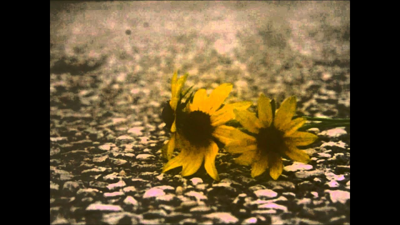 Noir OST - Melody (SHORT MUSIC BOX VERSION) - YouTube