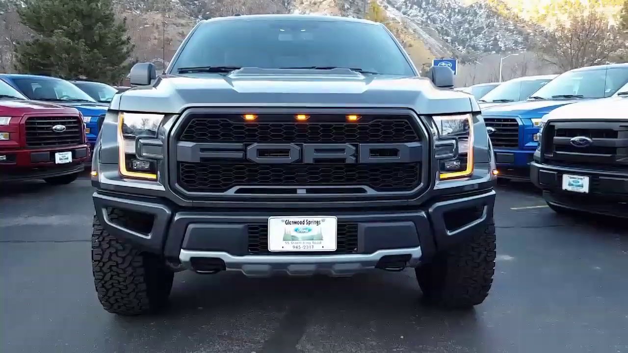 Your own pet Raptor... - YouTube