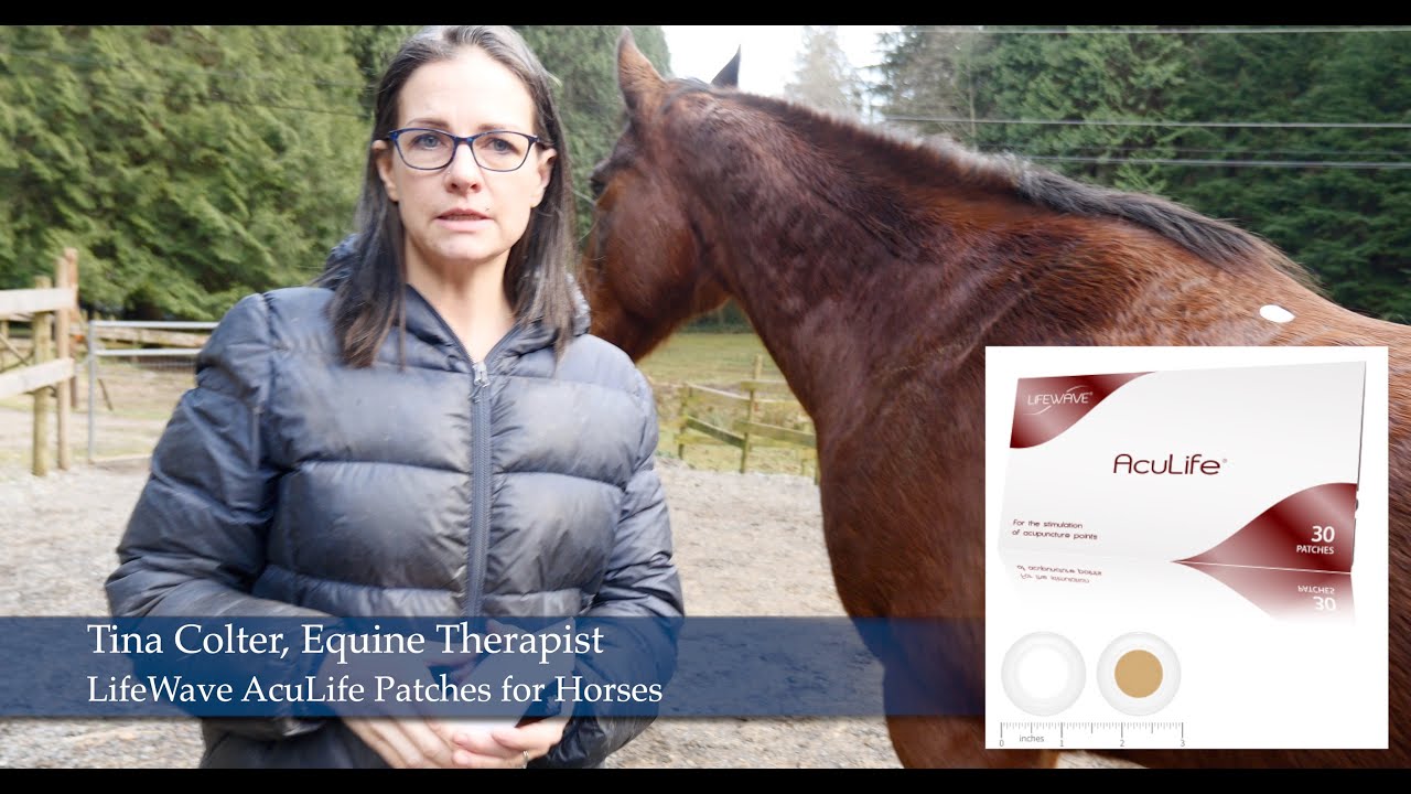 Tina Colter, Equine Therapist ~ AcuLife Patching For Horses ...