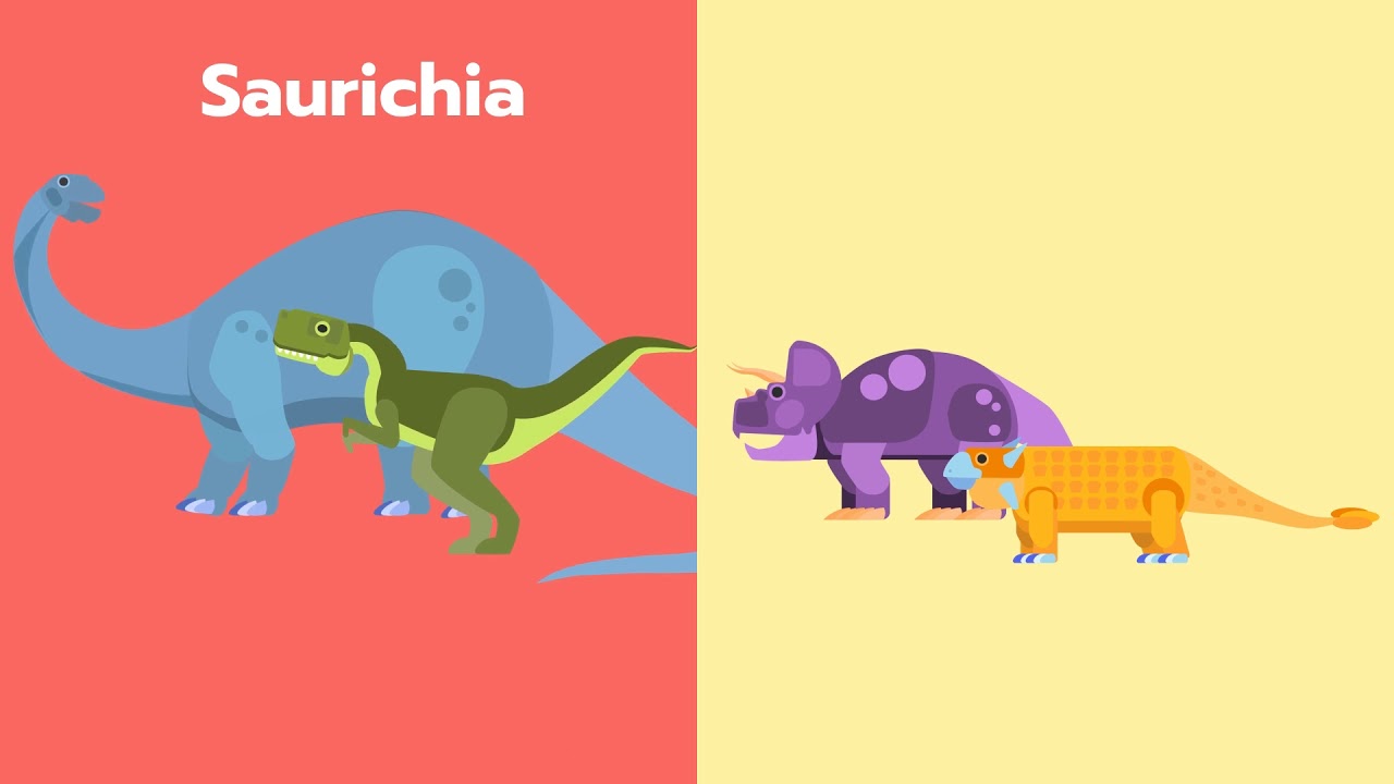 Classification of Dinosaurs - YouTube