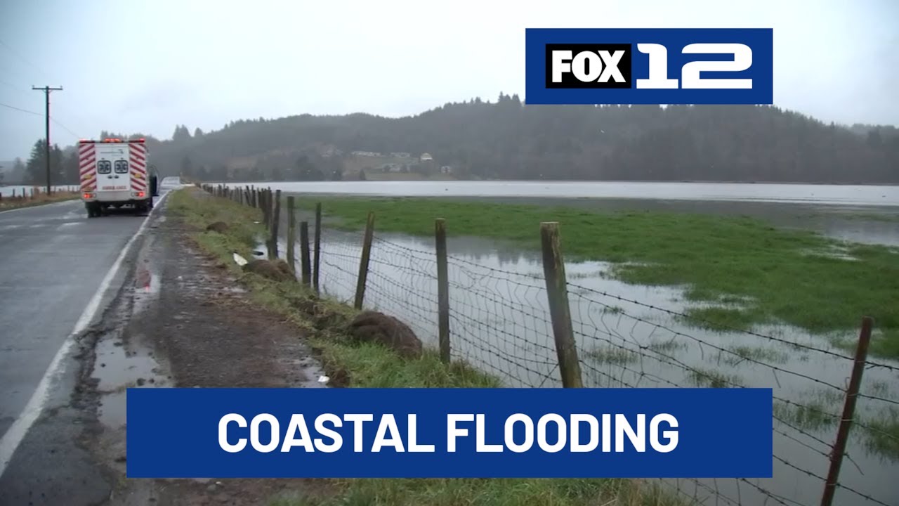 Widespread flooding prompts multiple road closures across Tillamook ...