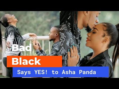 Bad Black says YES! to Boyfriend Asha Panda - YouTube