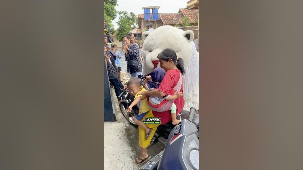 Can Macanan gangguin bocil sampe nangis - YouTube