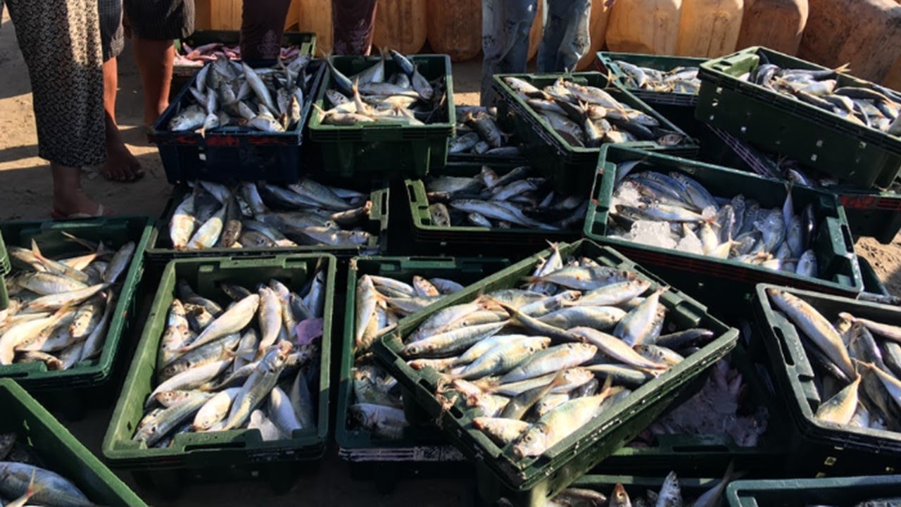 Pandawan Fish Market - Cheapest Seafood Market in Cavite - YouTube