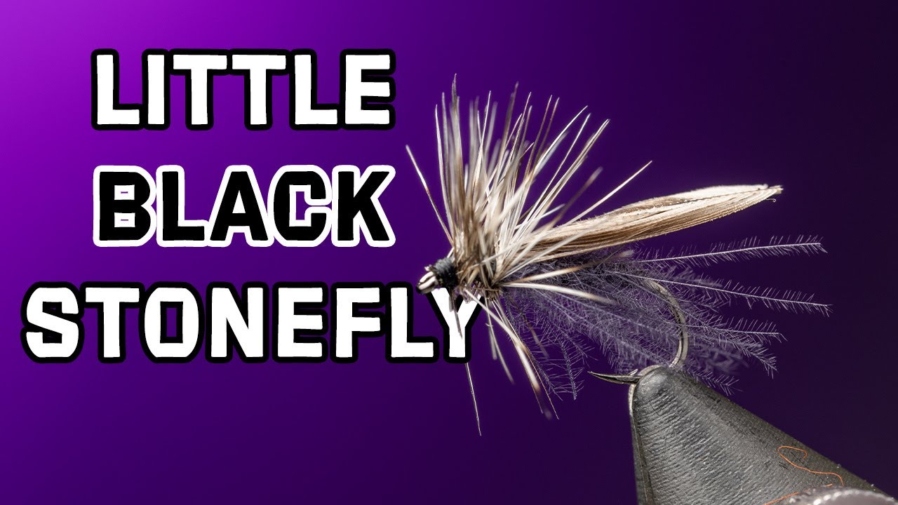 Little Black Stonefly Fly Pattern | Fly Tying Tutorial - YouTube