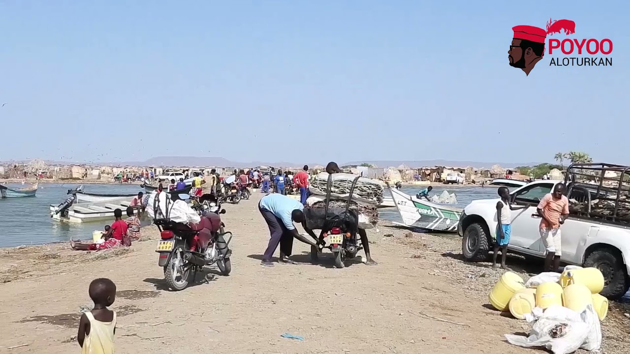 Shamba la Kalokol (Lake Turkana) - YouTube