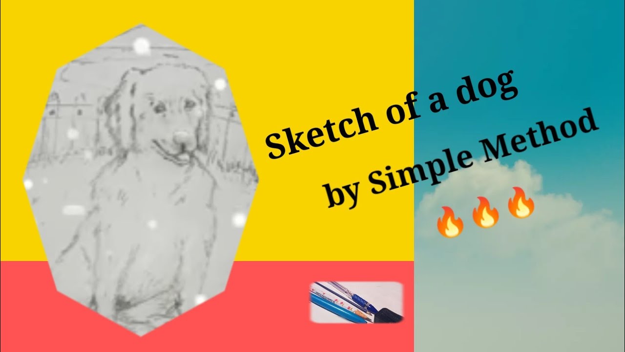 (Secret Trick)How to draw a dog Sketche| Sketch of a dog within minutes ...
