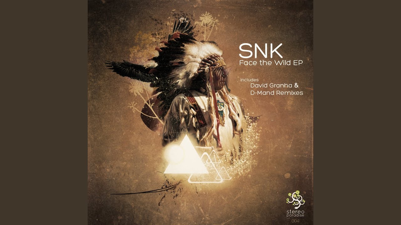 Face the Wild (D-Mand Remix) - YouTube