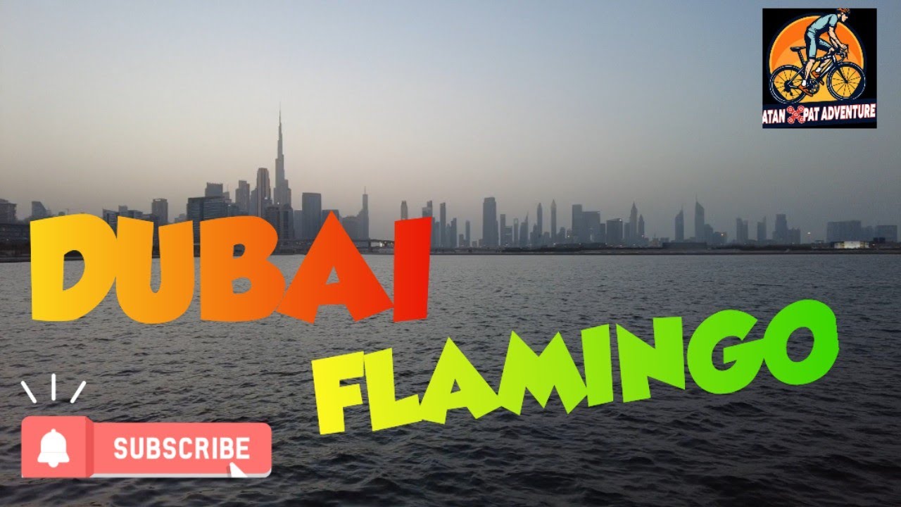 Exploring the Flamingo Bird Sanctuary in Dubai - YouTube