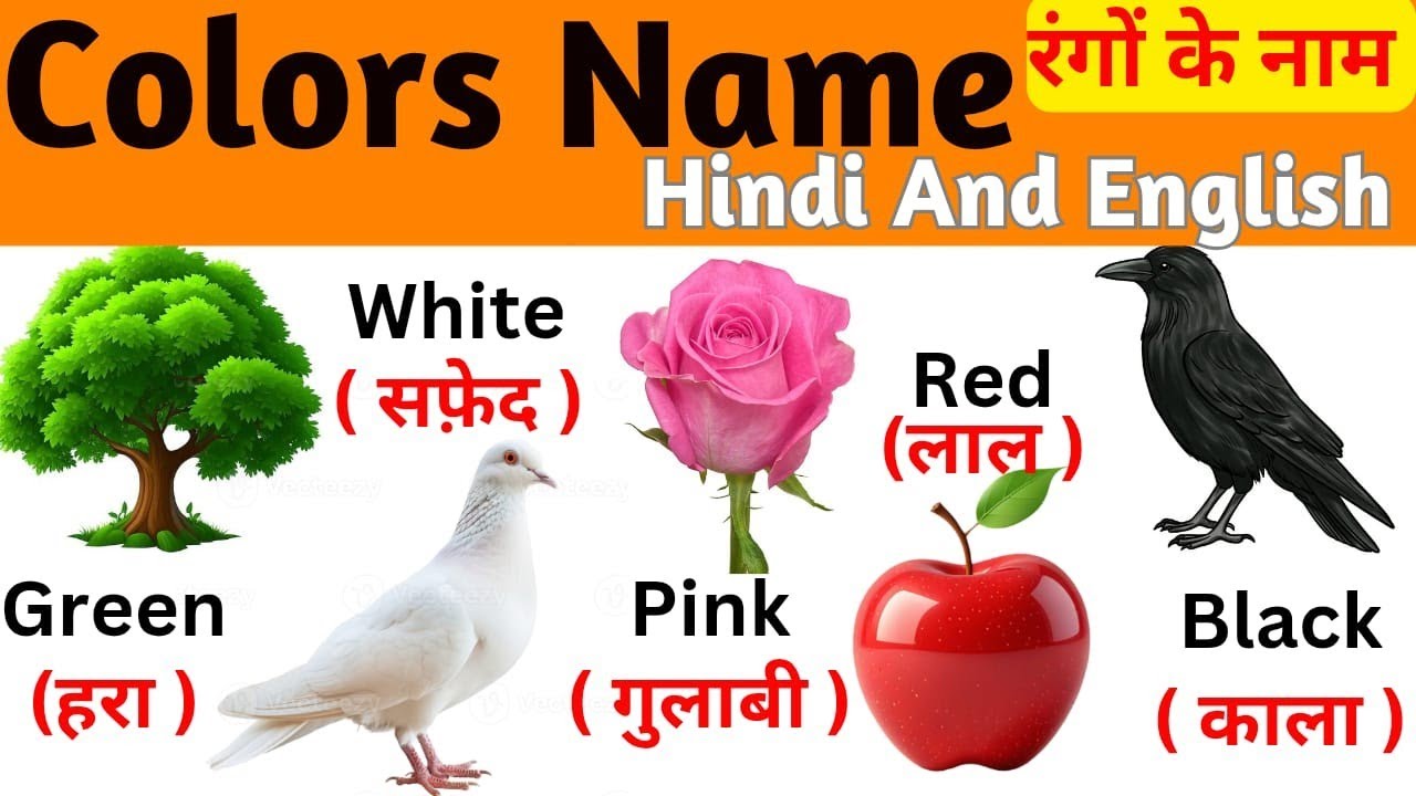 Learn Colors Name In Hindi and English | रंगों के नाम | learn colors ...