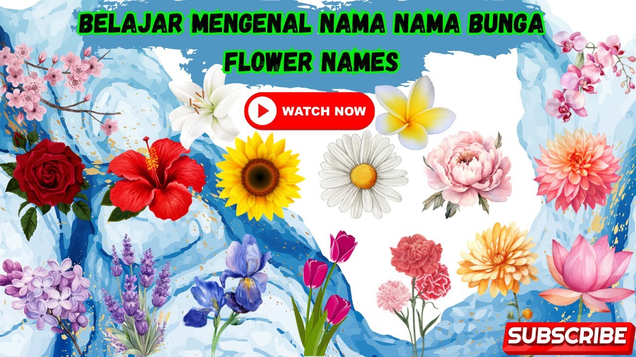 Belajar Mengenal Nama Bunga dalam Bahasa Indonesia dan Inggris!!! - YouTube