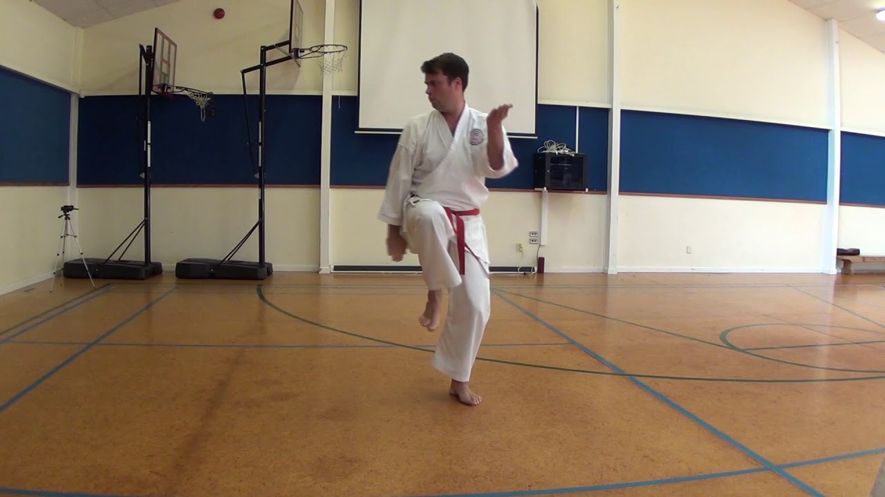 gkr wgtn kata 2019 03 24 r2 41yrs+ male 3rd+ 04e saifa sepai - YouTube