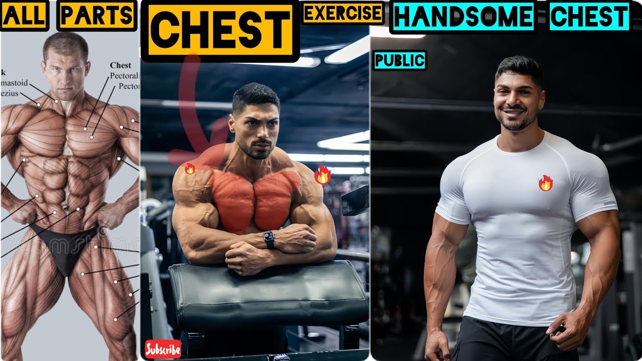 Handsome Chest Workout (Get the Look You Want!) - YouTube