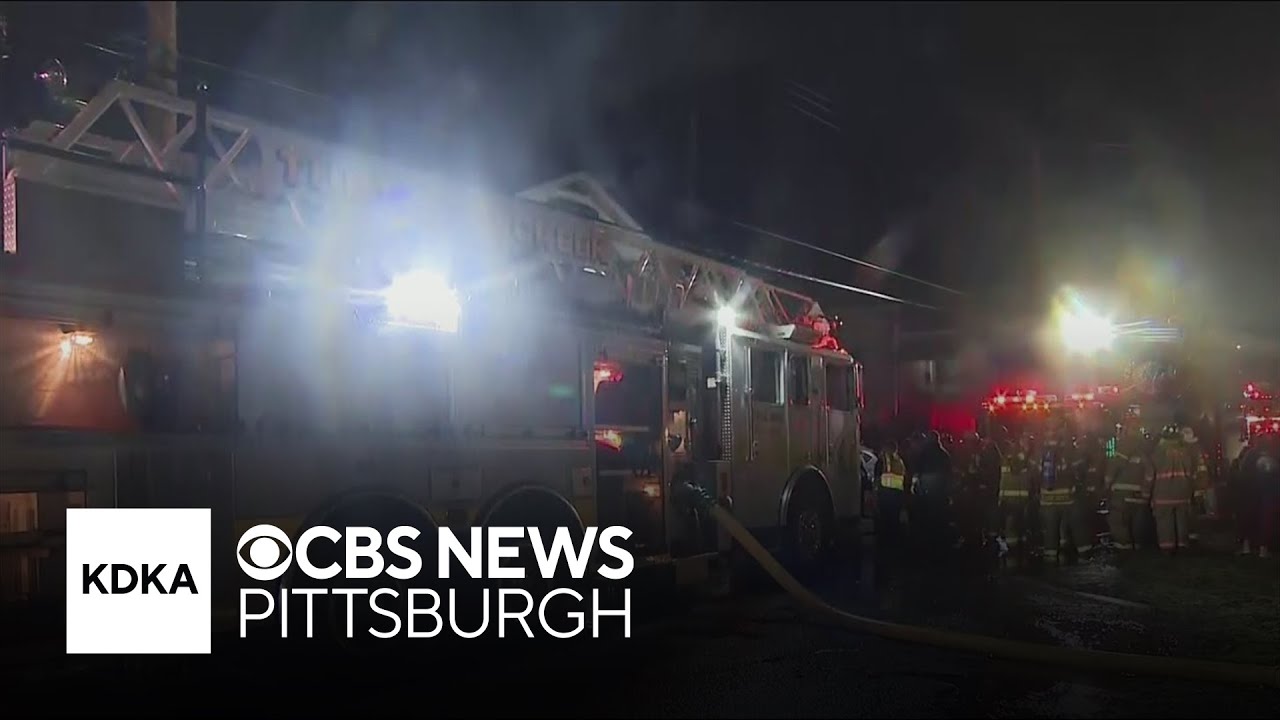 4 cats killed in house fire - YouTube