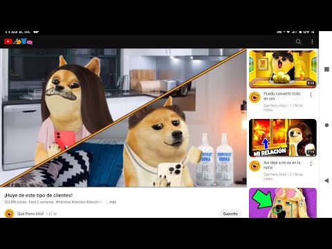 video reaccion a que perro hilo - YouTube