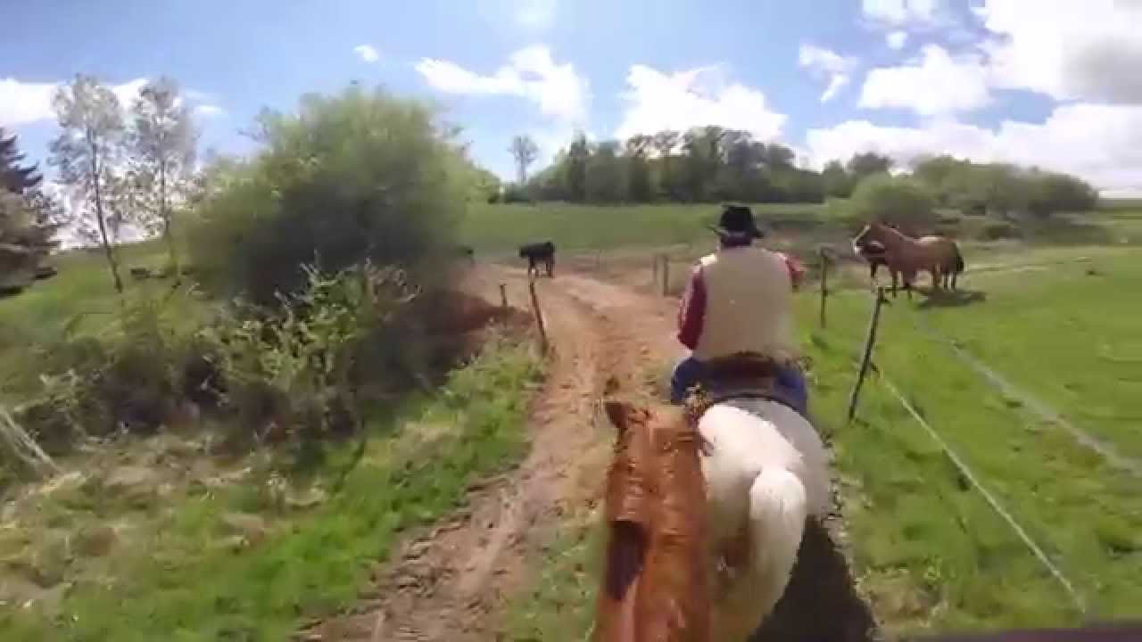 Open Range Cattle Drive - YouTube