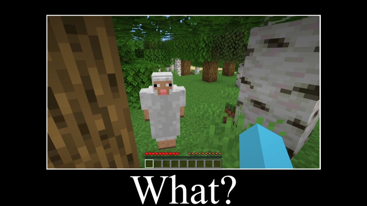 WAIT WHAT? - YouTube