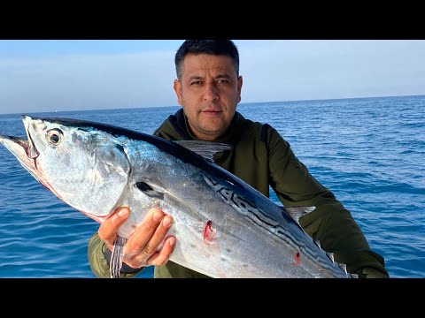 23 Kasım 2024 Hatay-Dörtyol tekne avımız iyi seyirler 🙏