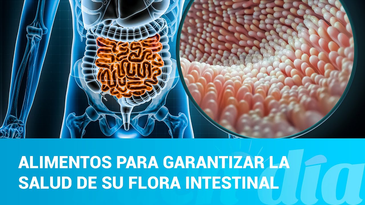 Los mejores alimentos para garantizar la salud de su flora intestinal ...