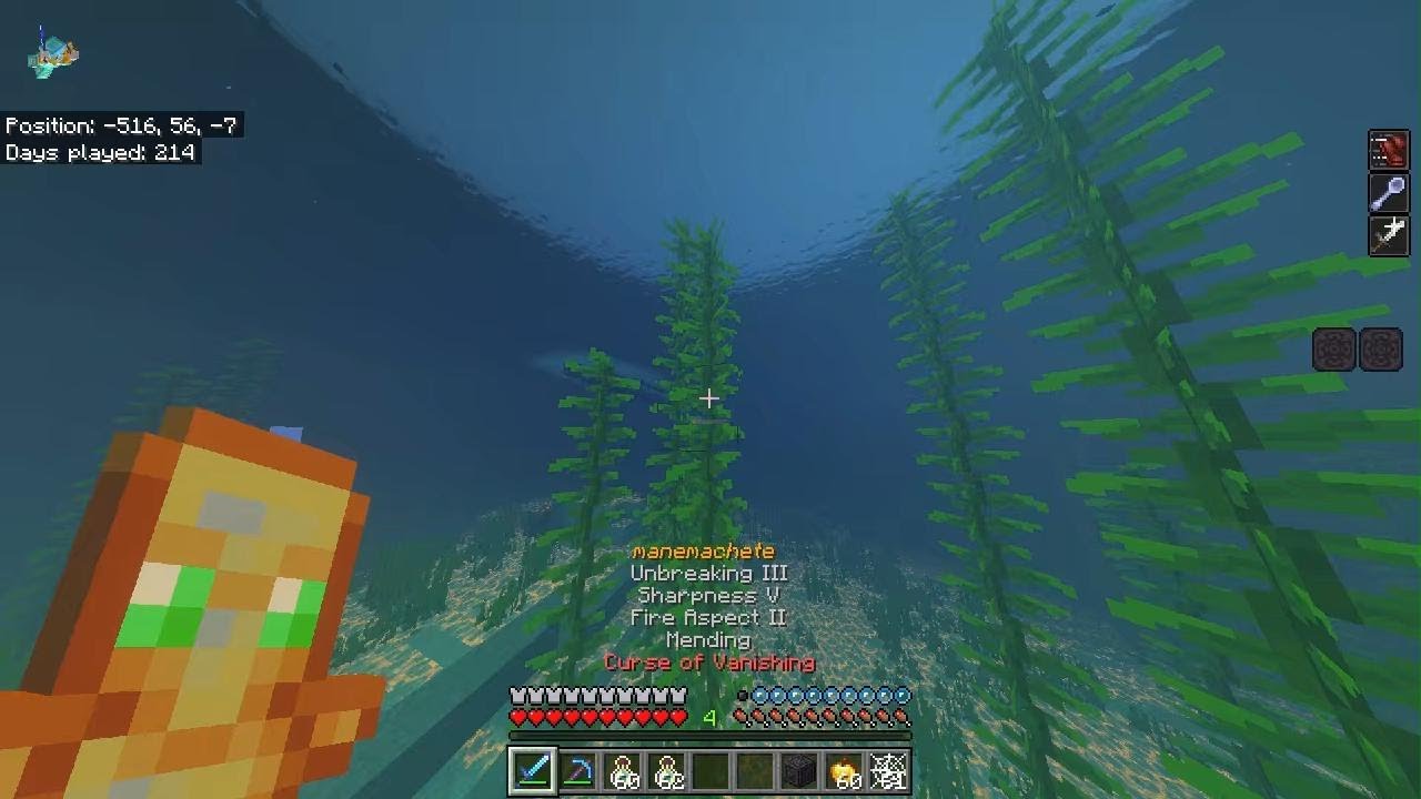 Ocean SMP new fight teaser - YouTube