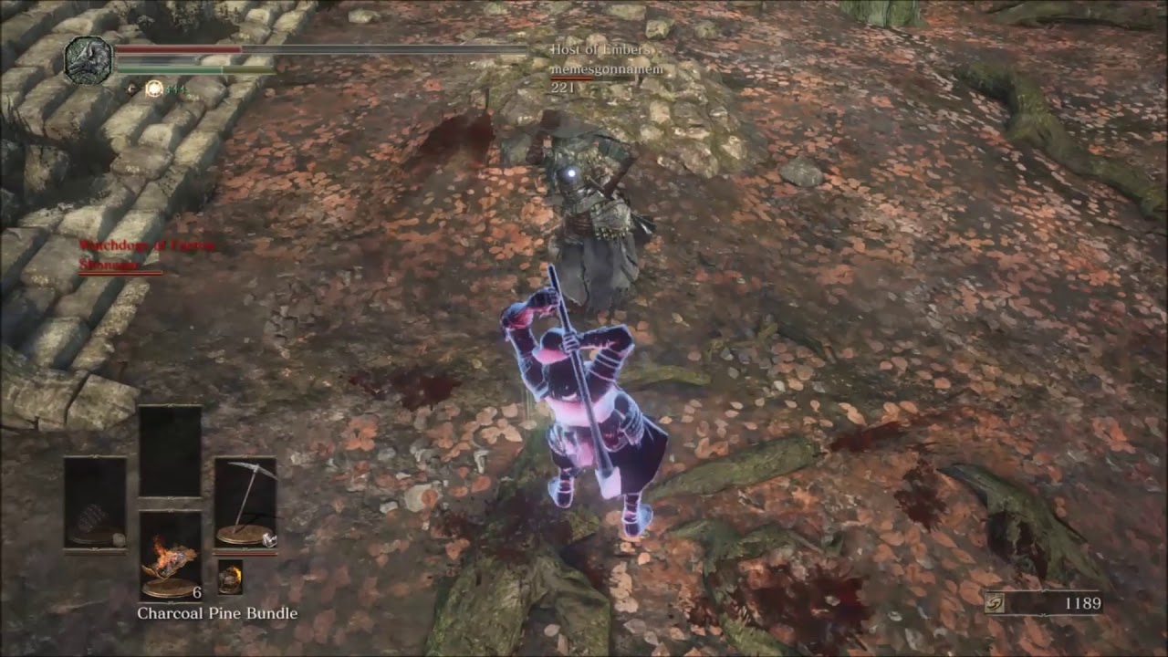 Beautiful Dark Souls Recovery Cancel Backstab - YouTube